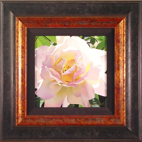 Brian Davis Single Pristine Rose Framed Limited Edition Fine Art