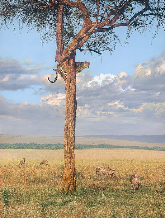 Guy Combes Sanctuary Limited Edition