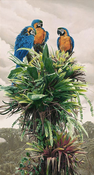 Rod Frederick The Three Amigos Canvas Limited Edition