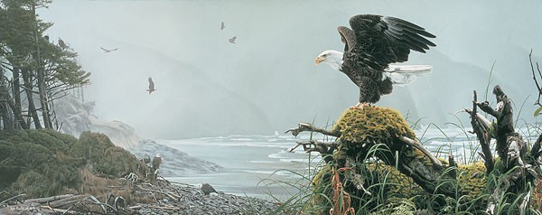 Rod Frederick Coming Home Limited Edition