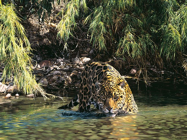 Simon Combes Eyes of Warning MASTERWORK ANNIVERSARY EDITION Canvas ...