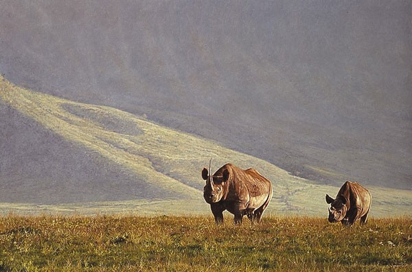 Simon Combes The Survivors Canvas Limited Edition