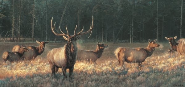 Nancy Glazier Morning Magic By Nancy Glazier Limited Edition Fine Art