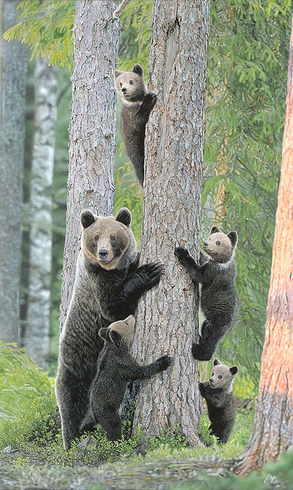 John Bye - Fine Art Featuring art Work from John Bye Gallery