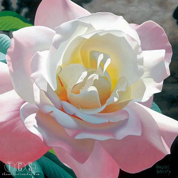 Brian Davis - Fine Art Artist Gallery. View the Brian Davis art collection.