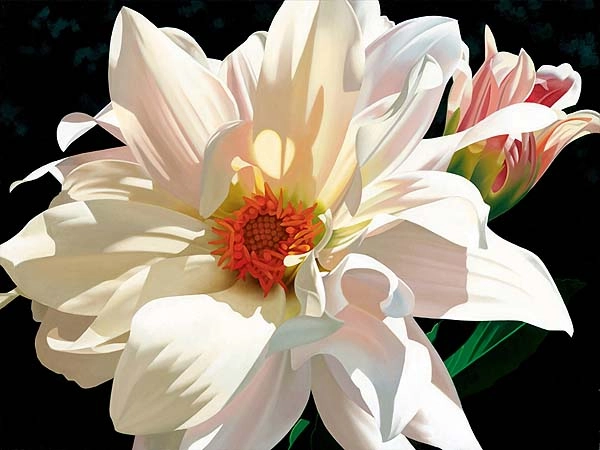 Brian Davis - Fine Art Artist Gallery. View the Brian Davis art collection.