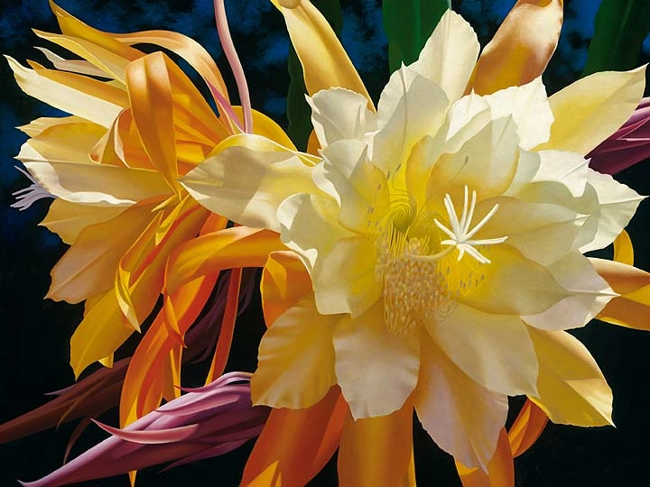 Brian Davis - Fine Art Artist Gallery. View the Brian Davis art collection.