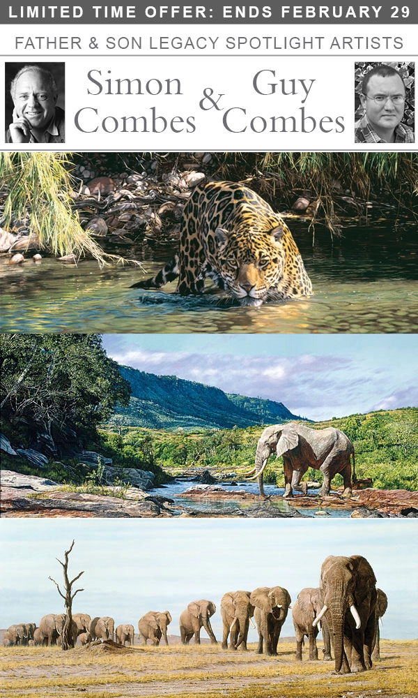 Simon Combes - Fine Art Featuring art Work from Simon Combes Gallery