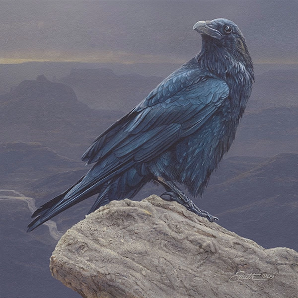 Daniel Smith - Fine Art Featuring art Work from Daniel Smith Gallery