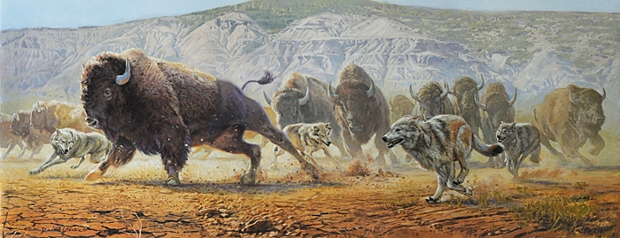 David Yorke - Fine Art Featuring art Work from David Yorke Gallery