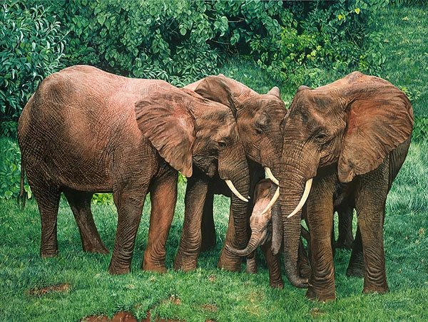 Guy Combes - Fine Art Featuring art Work from Guy Combes Gallery