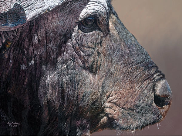 Guy Combes - Fine Art Featuring art Work from Guy Combes Gallery