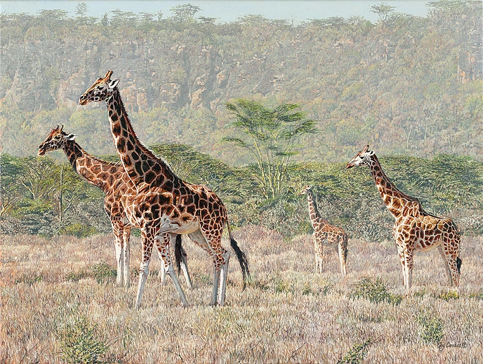 Guy Combes - Fine Art Featuring art Work from Guy Combes Gallery