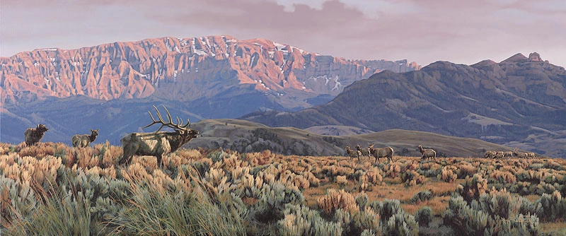 Rod Frederick - Fine Art Featuring art Work from Rod Frederick Gallery