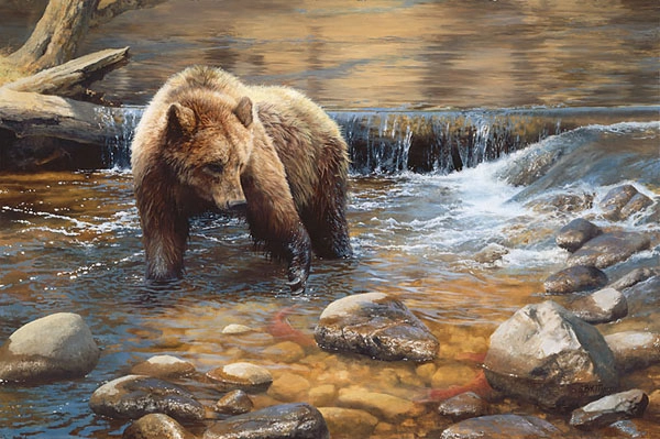 Bonnie Marris - Fine Art Featuring art Work from Bonnie Marris Gallery