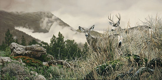 Rod Frederick - Fine Art Featuring art Work from Rod Frederick Gallery