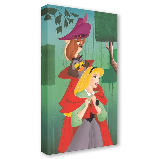 Dream Prince by Don Williams | Disney Fine Art Gallery Wrapped Giclee ...