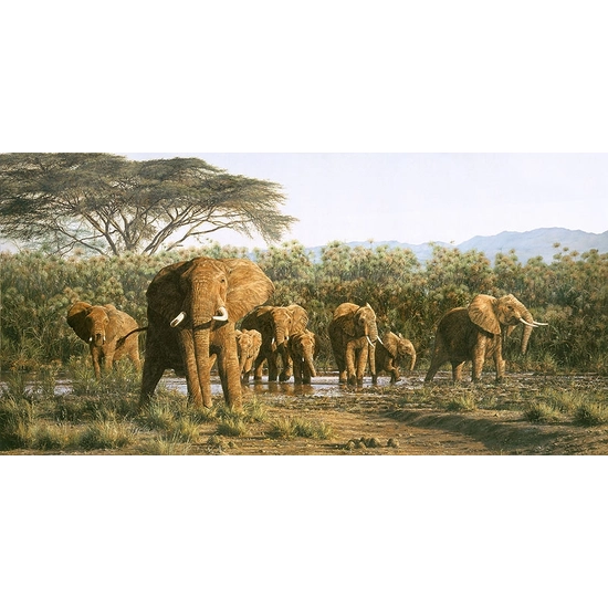 Simon Combes Papyrus Swamp Monarchs Master Works Limited Edition