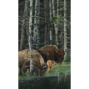 Judy Larson The Vanishing Limited Edition