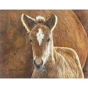 Judy Larson The Vanishing Limited Edition