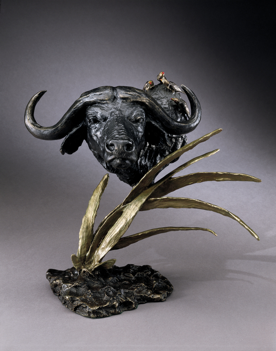 Mark Hopkins Cape Buffalo Mixed Midia Sculpture
