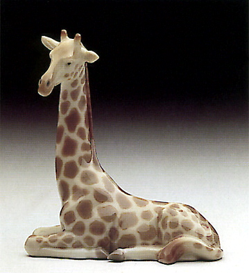 Teacup Giraffe