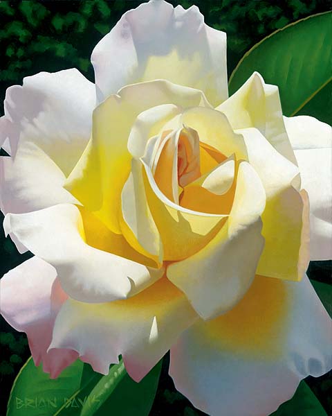 Brian Davis Loves Rose Limited Edition Fine Art