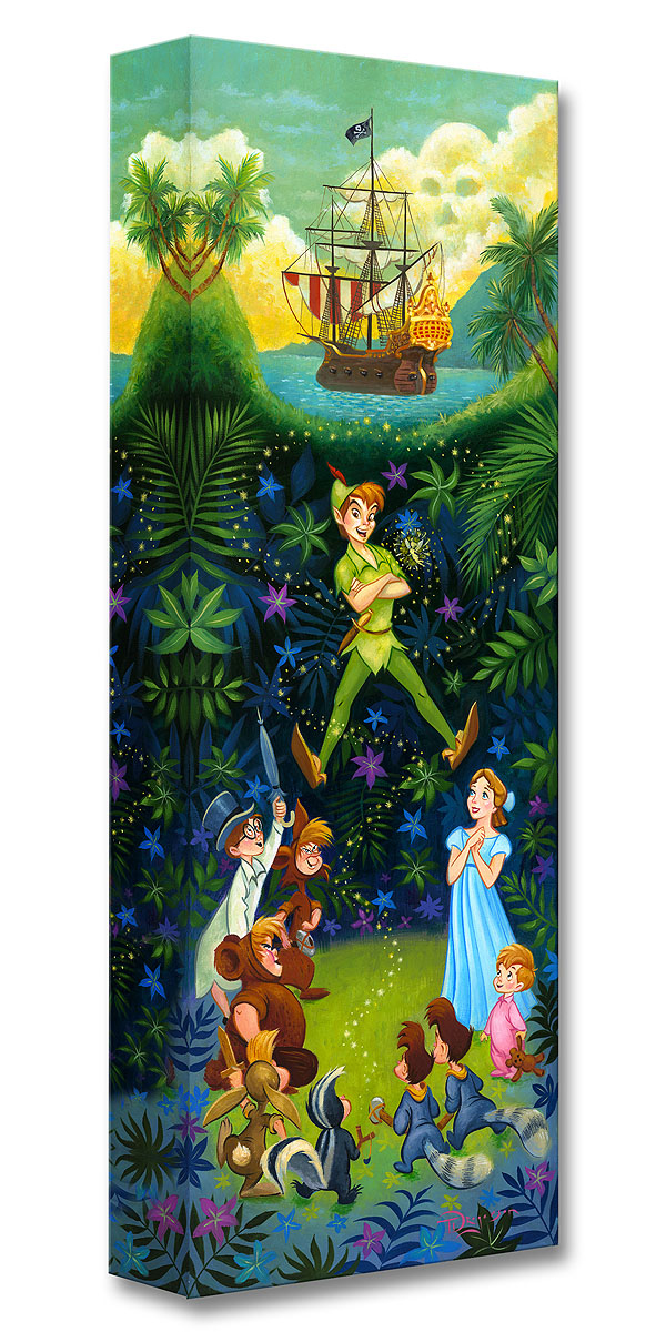 Peter Pan Neverland