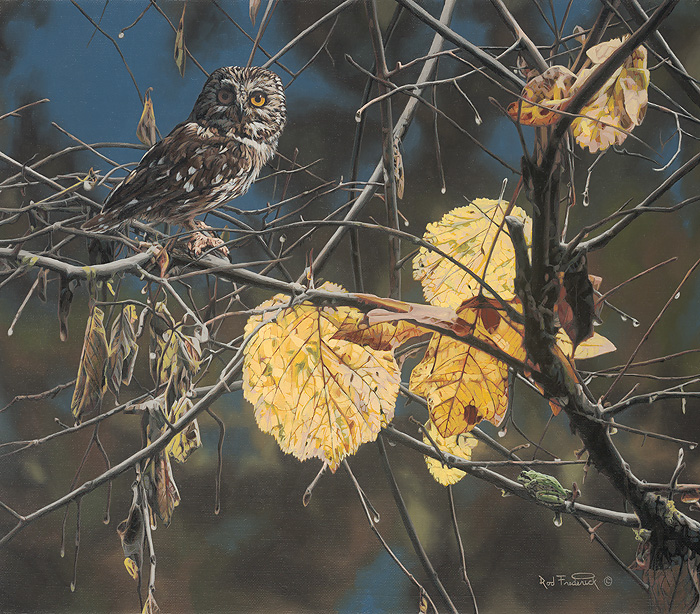 Rod Frederick It's Not Easy Being Green Giclee On Canvas Limited Edition