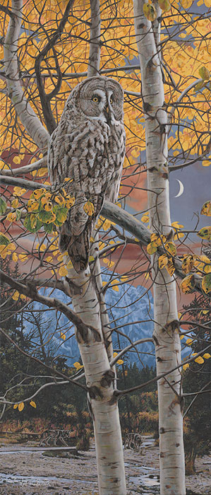 Rod Frederick Shades of Grey Limited Edition