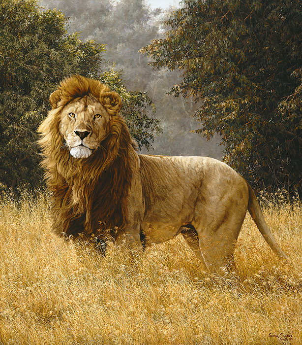 Simon Combes Simba Anniversary Edition Giclee On Canvas Limited Edition