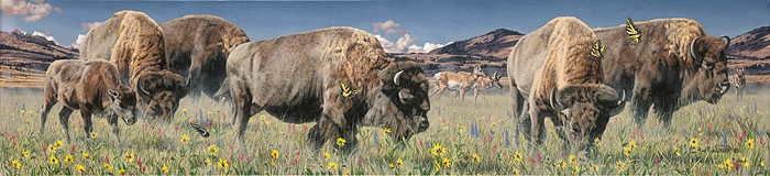 Rod Frederick - Fine Art Featuring art Work from Rod Frederick Gallery