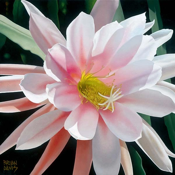 Brian Davis - Fine Art Artist Gallery. View the Brian Davis art collection.